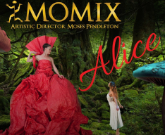 Momix - Alice, image number 0